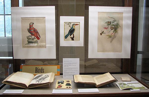 Have a 'Night at the Museum' with LSU's Hill Memorial Library Aug. 29 ...