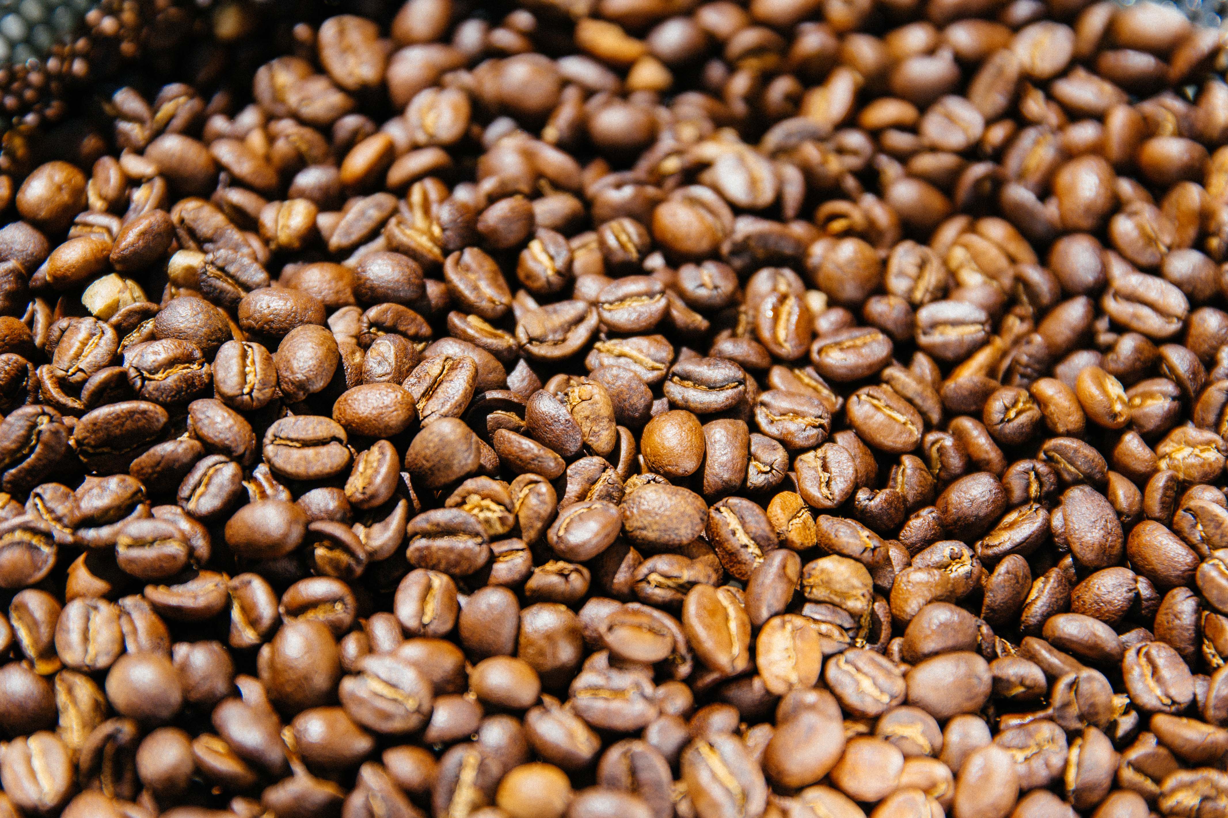 Pickle Block Roasters keeps Baton Rouge caffeinated with fresh, small ...