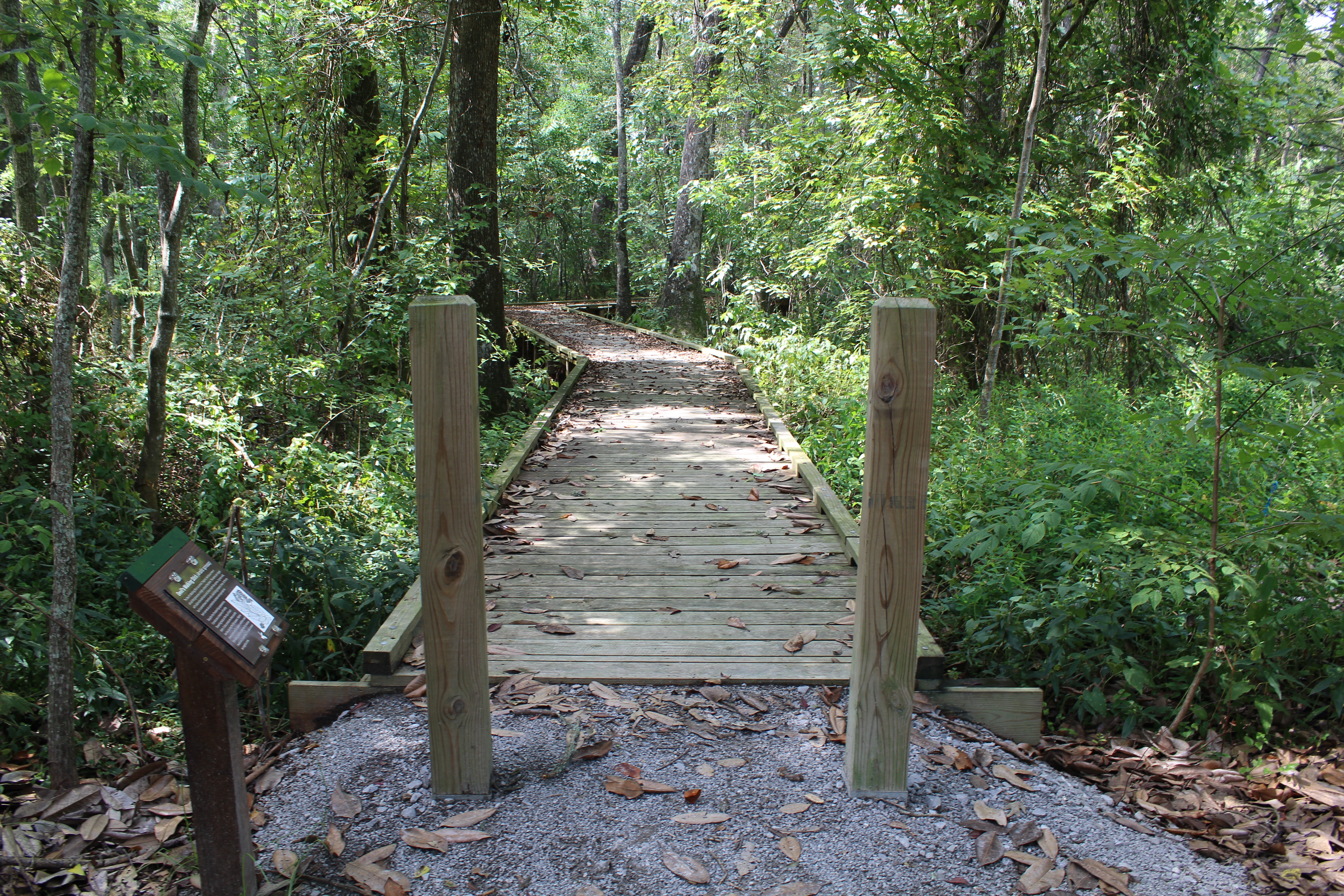 Six local hiking trails to traverse this fall - [225]