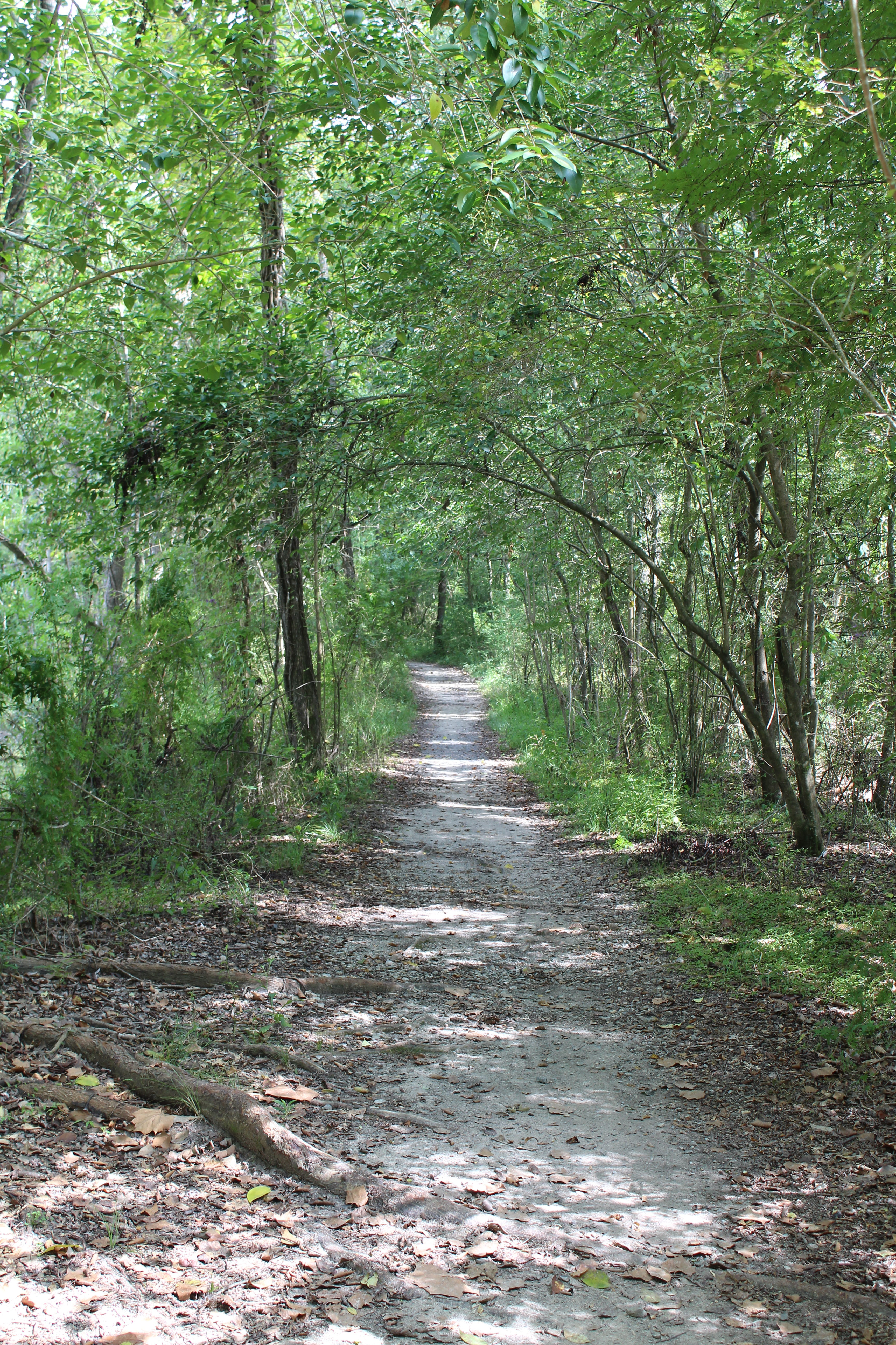 Six local hiking trails to traverse this fall - [225]