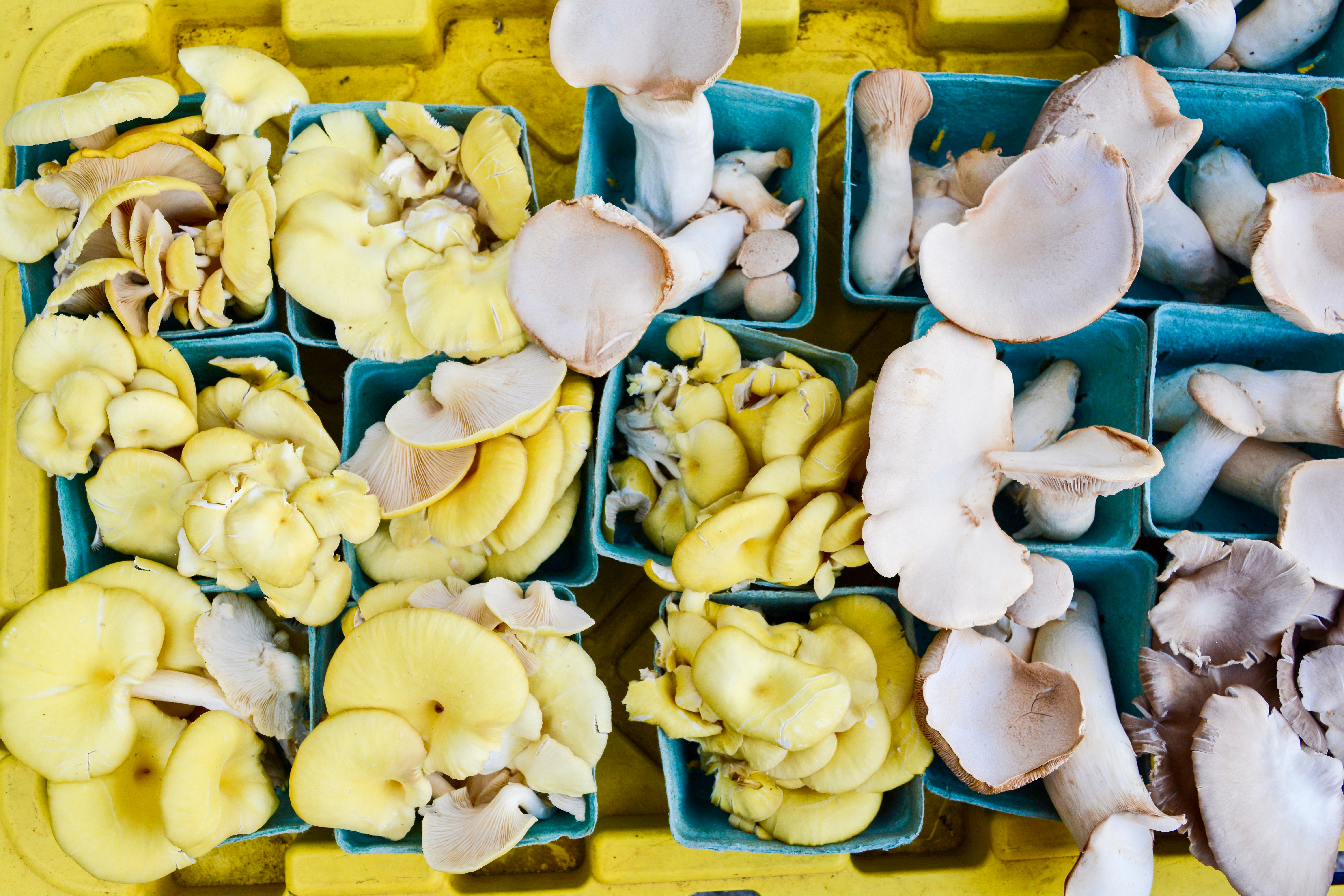 What's fresh at Baton Rouge farmers markets this September 2019 - [225]
