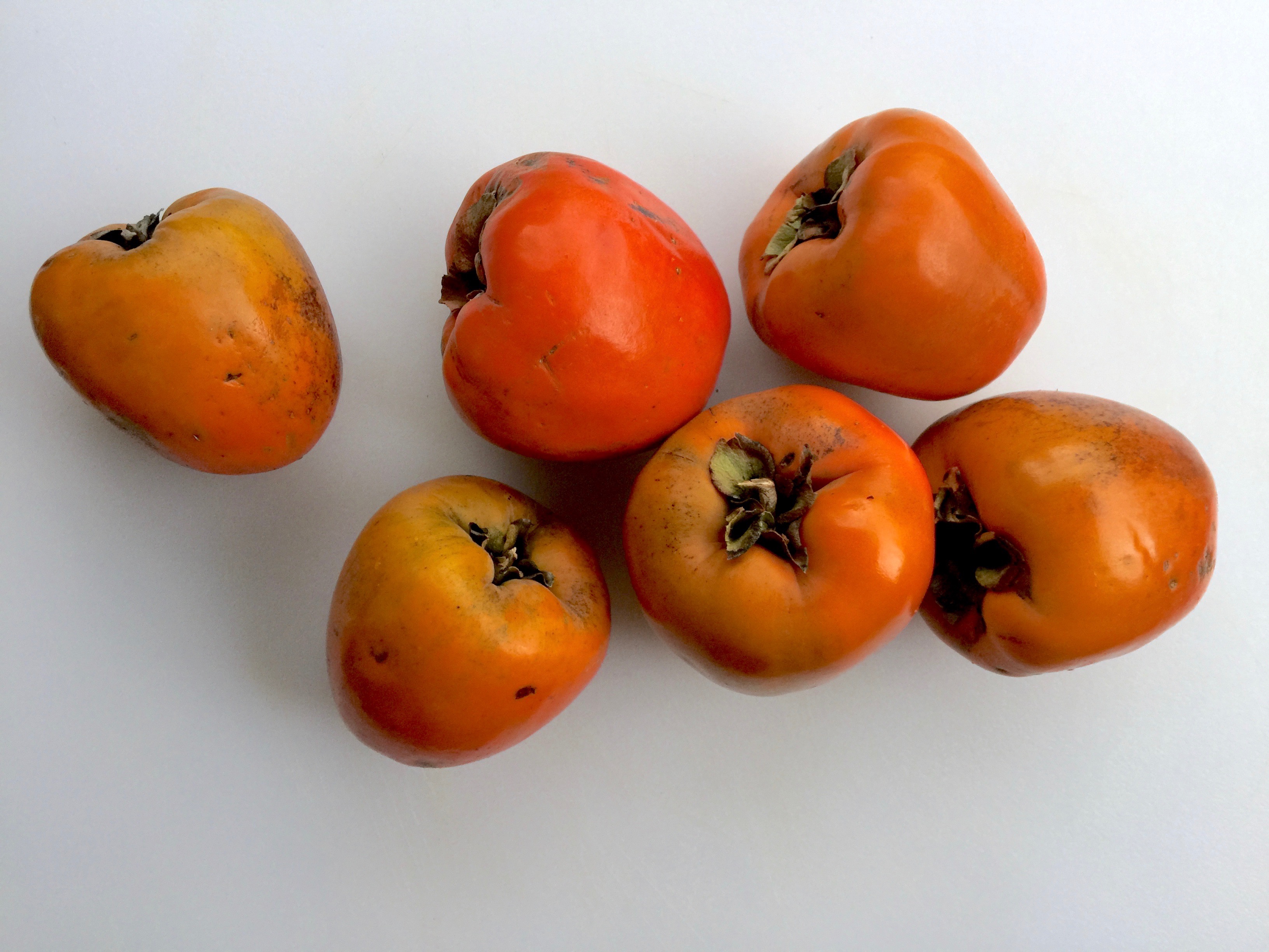 What to do with in-season persimmons this month - [225]