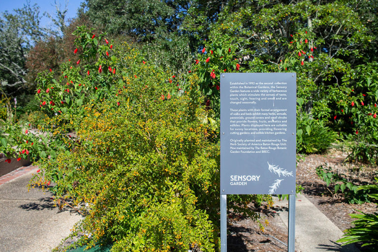 Take advantage of the nice weather and visit a Baton Rouge hidden gem ...