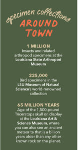 The LSU Museum of Natural Science is home to a world-renowned ...