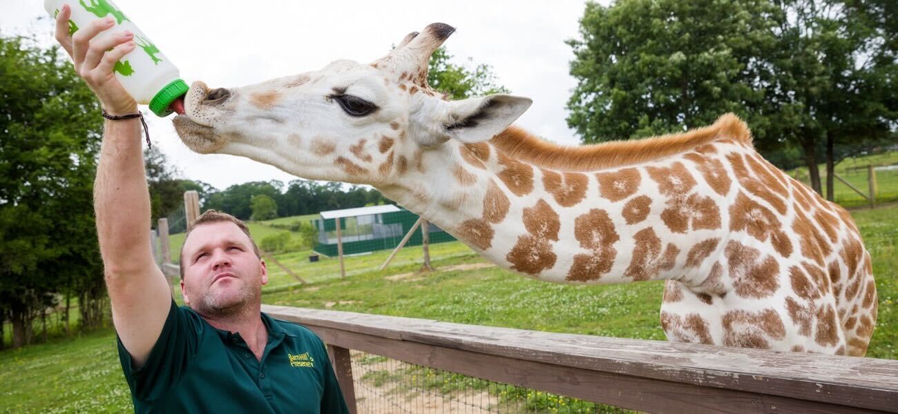 Summer fun for kids in Baton Rouge: 7 ideas for curing boredom - [225]