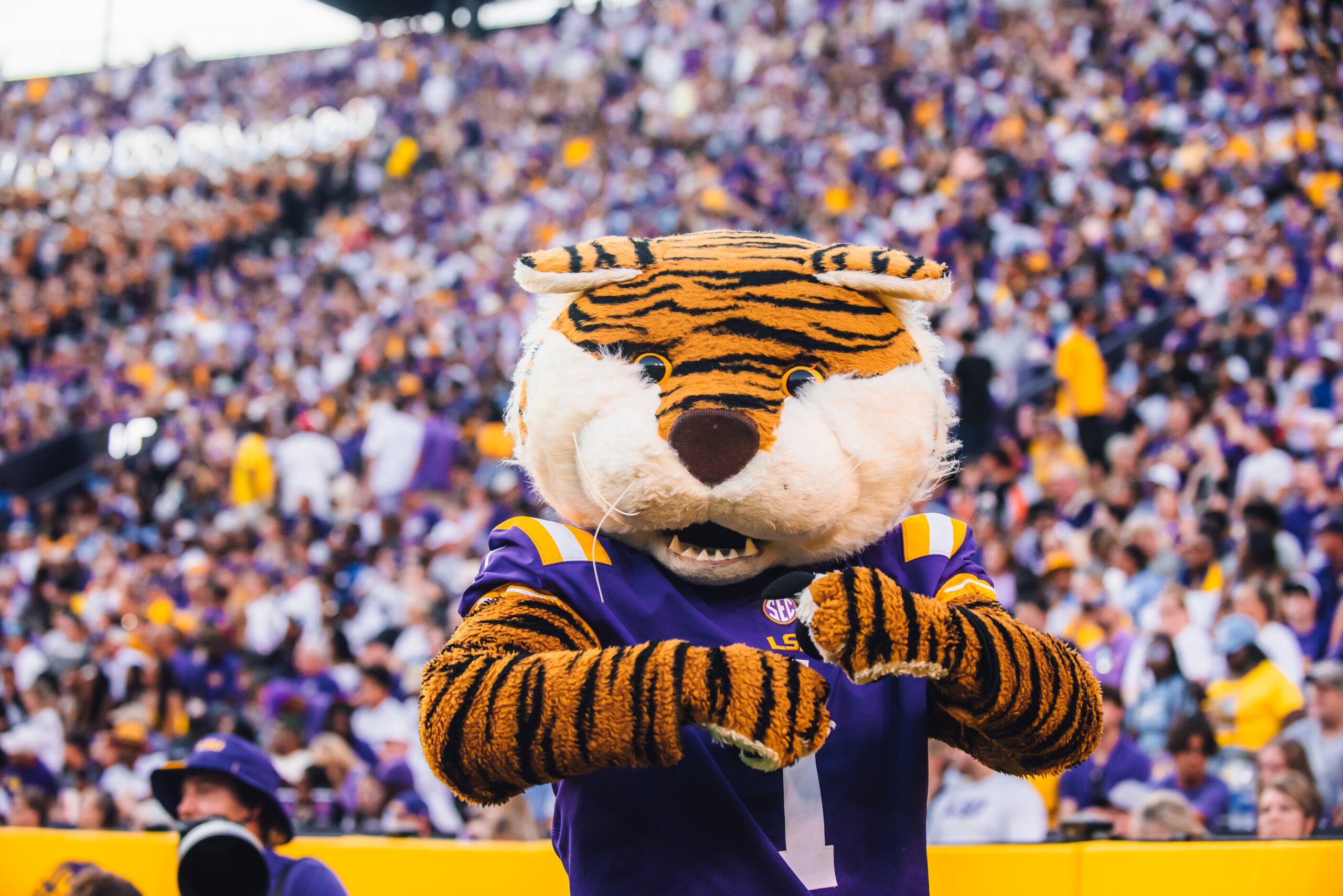 Photos: LSU and Southern's first-ever matchup in Tiger Stadium - [225]