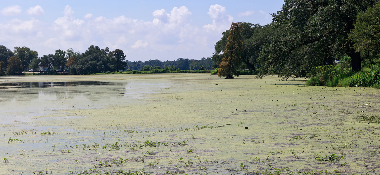 With the University Lakes Project finally underway, here’s when ...