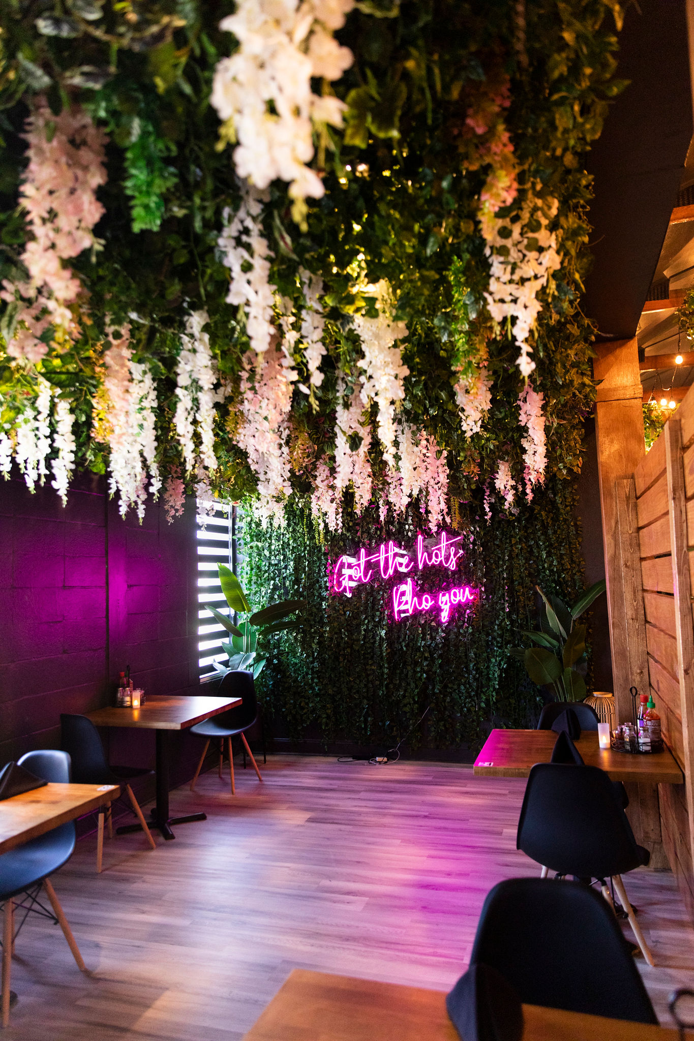 Pho 97 opens with modern environment to explore traditional Vietnamese ...