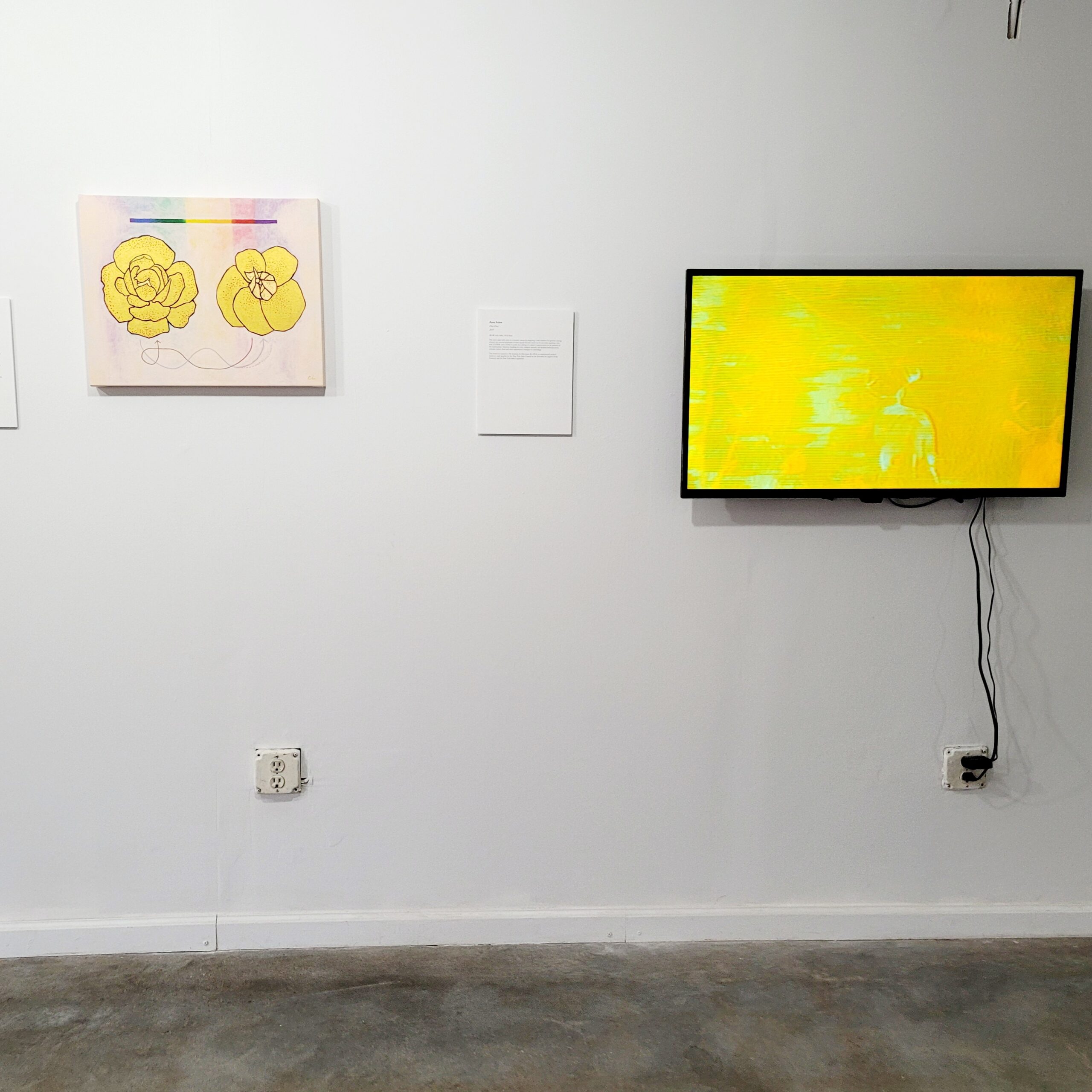 Yes We Cannibal's new ecology-themed exhibit its 'most ambitious' yet ...