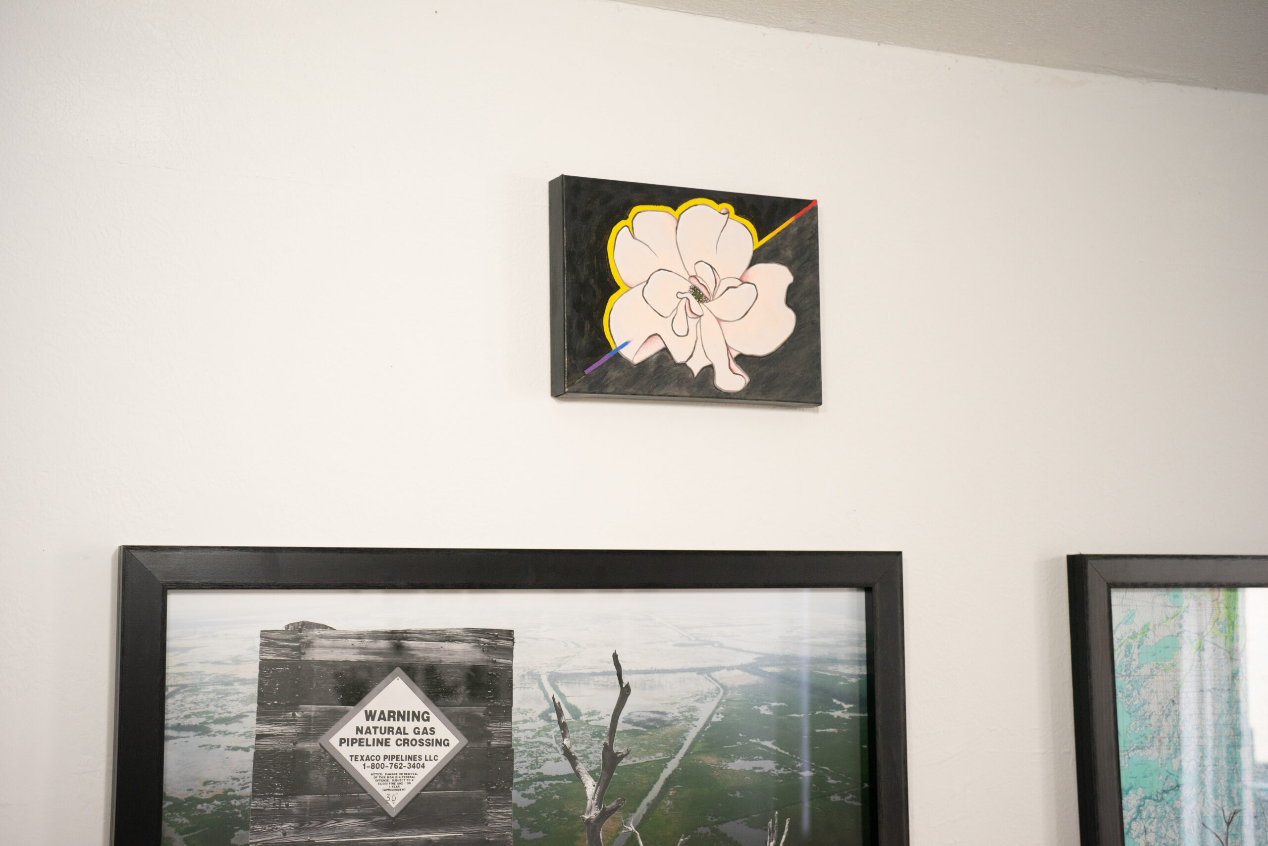 Yes We Cannibal's new ecology-themed exhibit its 'most ambitious' yet ...