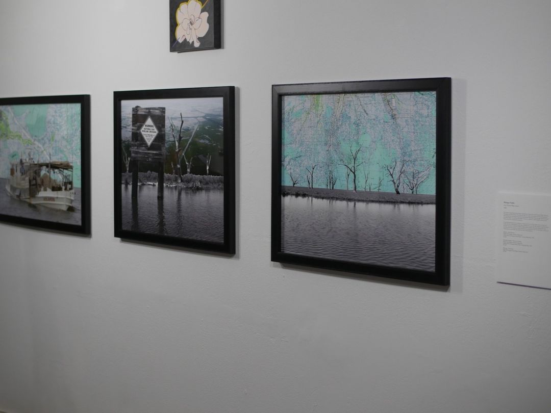 Yes We Cannibal's new ecology-themed exhibit its 'most ambitious' yet ...