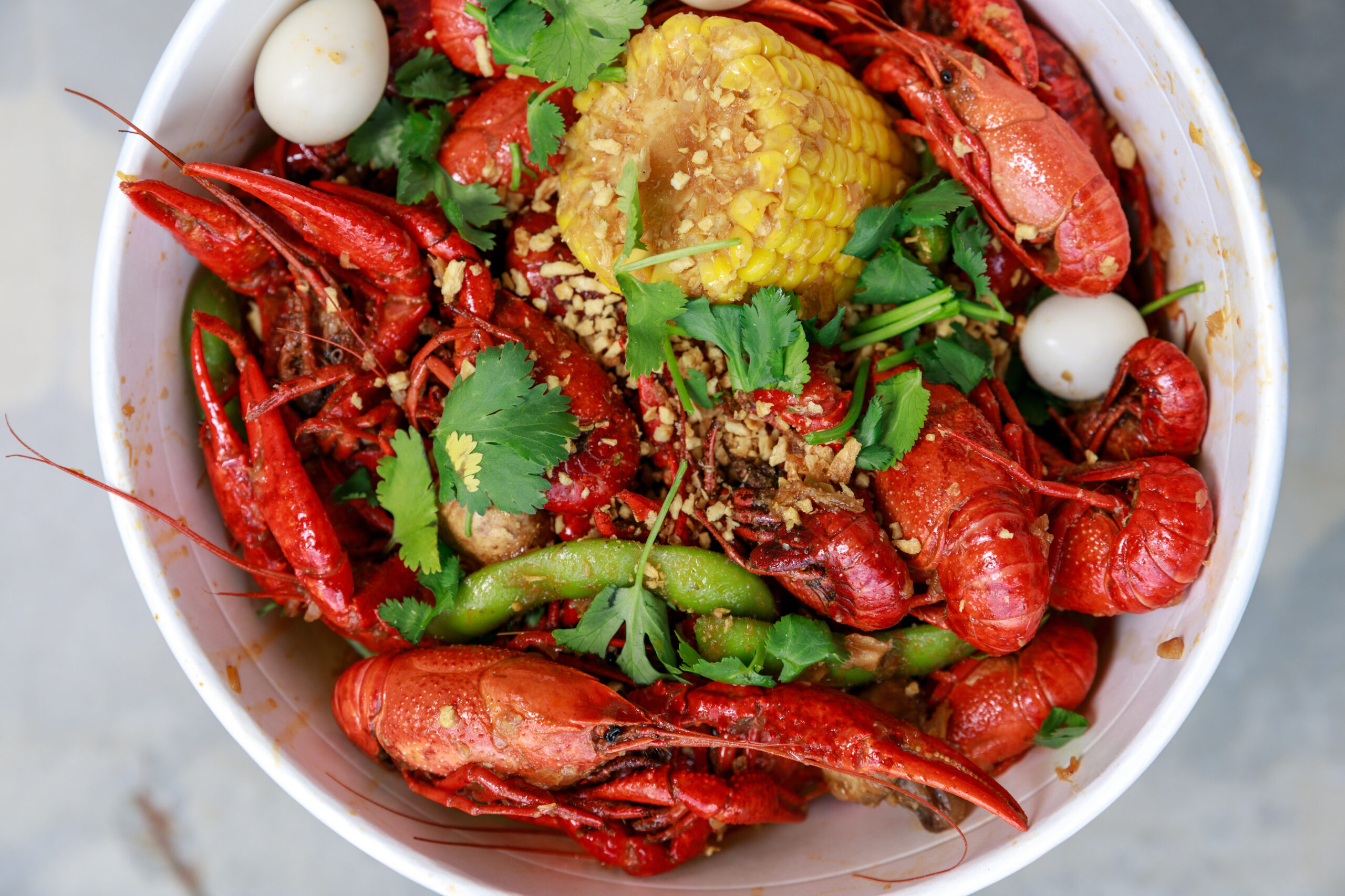 Mudbug mania: How crawfish prices are impacting Baton Rouge events and ...