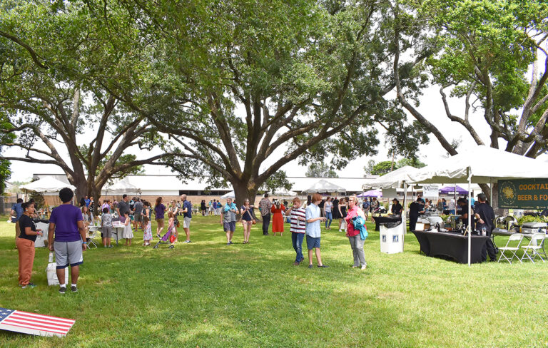 Things to do this weekend in Baton Rouge: Taste of Mid City, Kite Fest ...