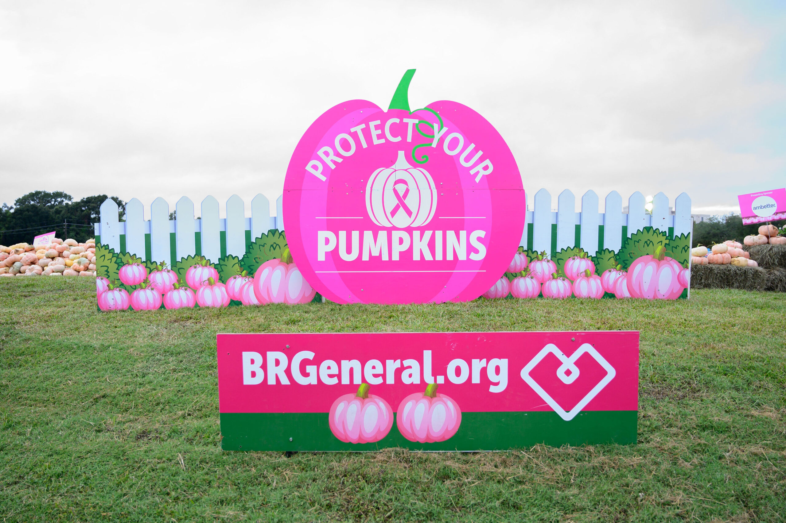 Surprise! Pink pumpkin patches return today for Baton Rouge General's breast cancer awareness ...