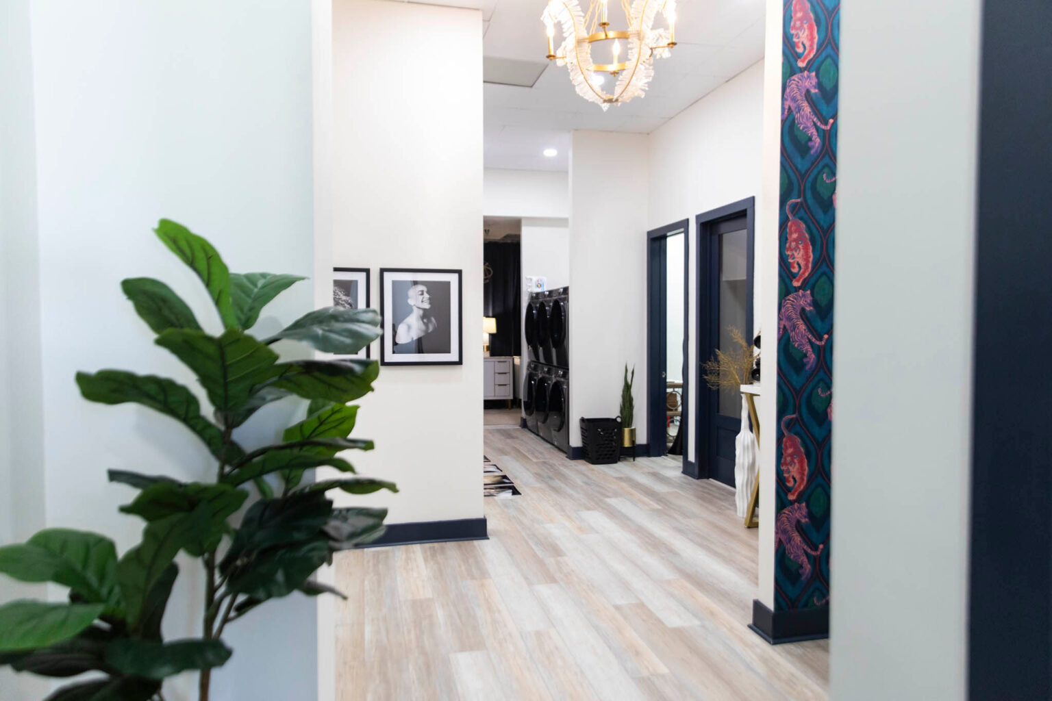 Inside the newest EGGIE Salon Studio, now open near LSU's campus - [225]