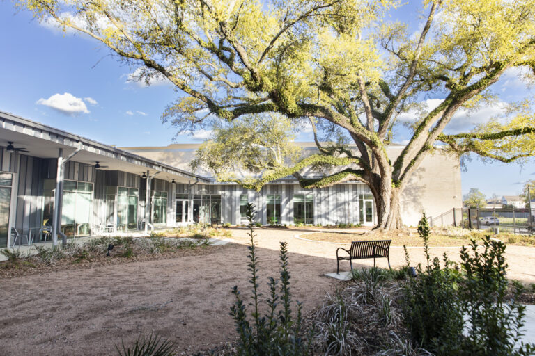 Inside the new South Branch Library, filling a service gap for the East ...