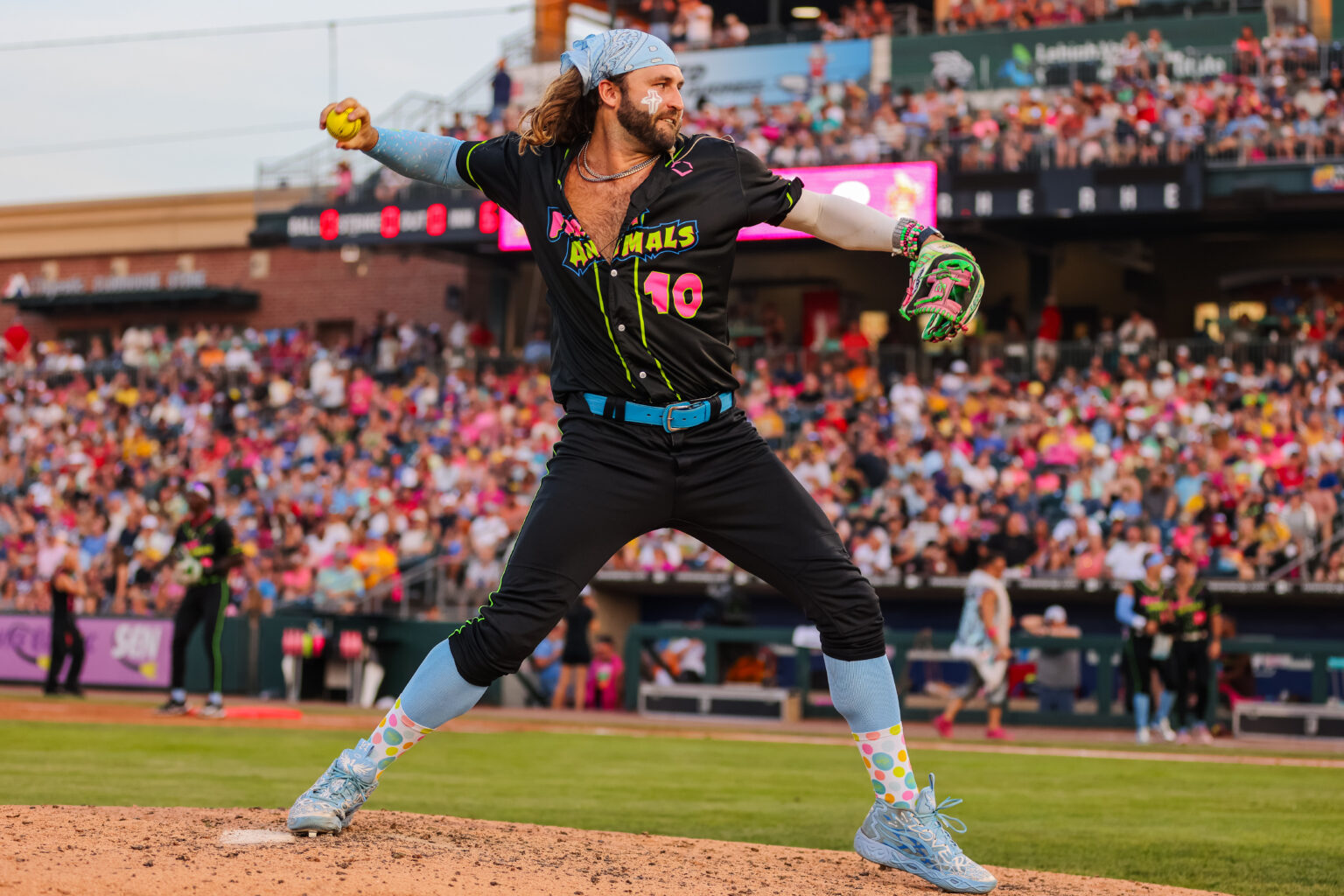 Take me out to the Banana Ball game: Party Animals and Texas Tailgaters ...